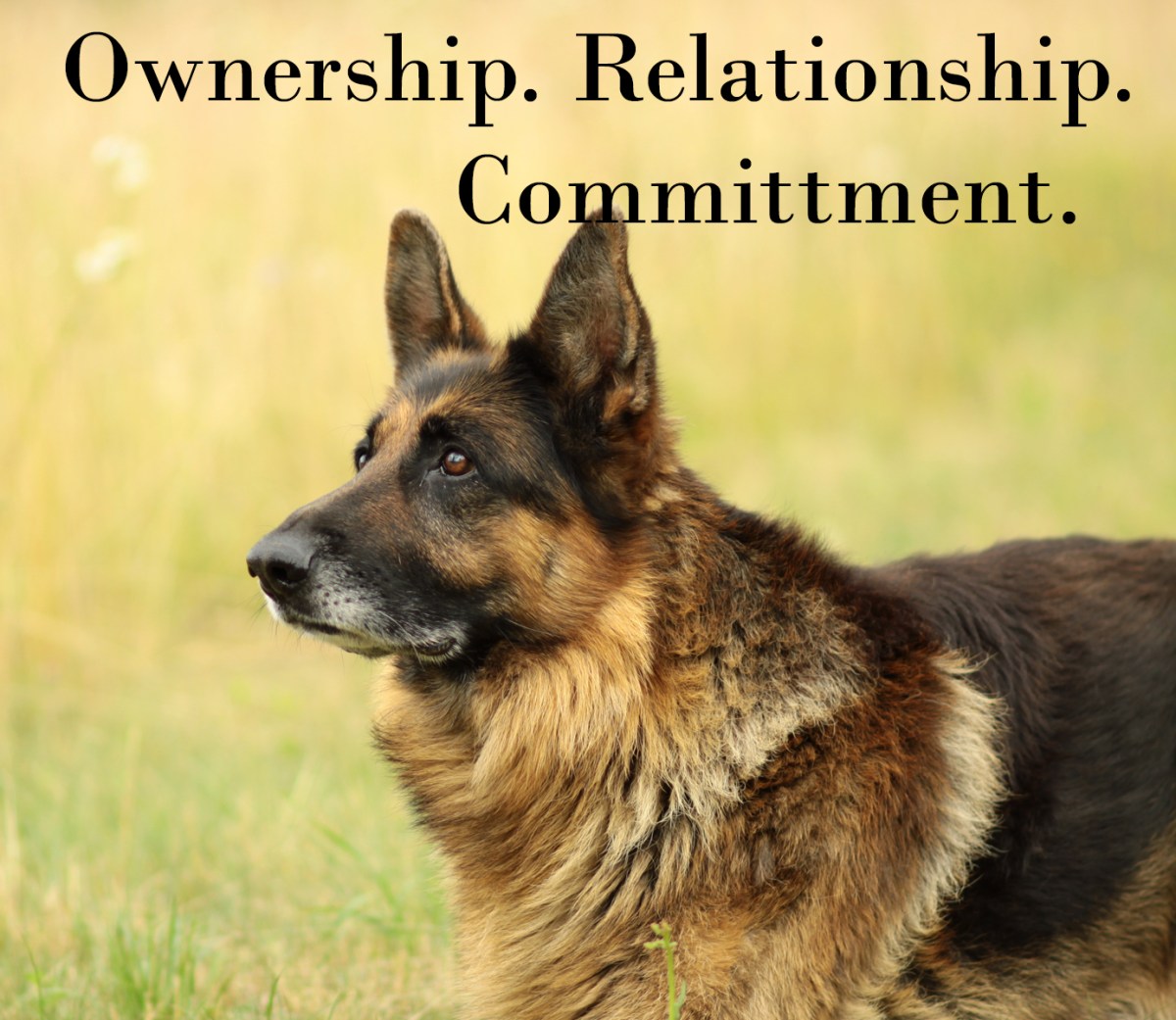 Ownership. Relationship. Commitment. | Pastor Partridge